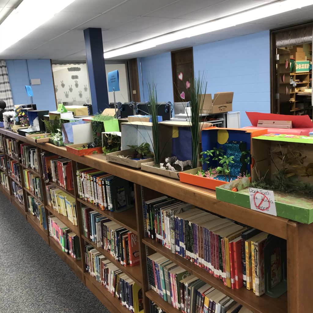 Third Grade Animal Diorama Projects! – St. Linus School