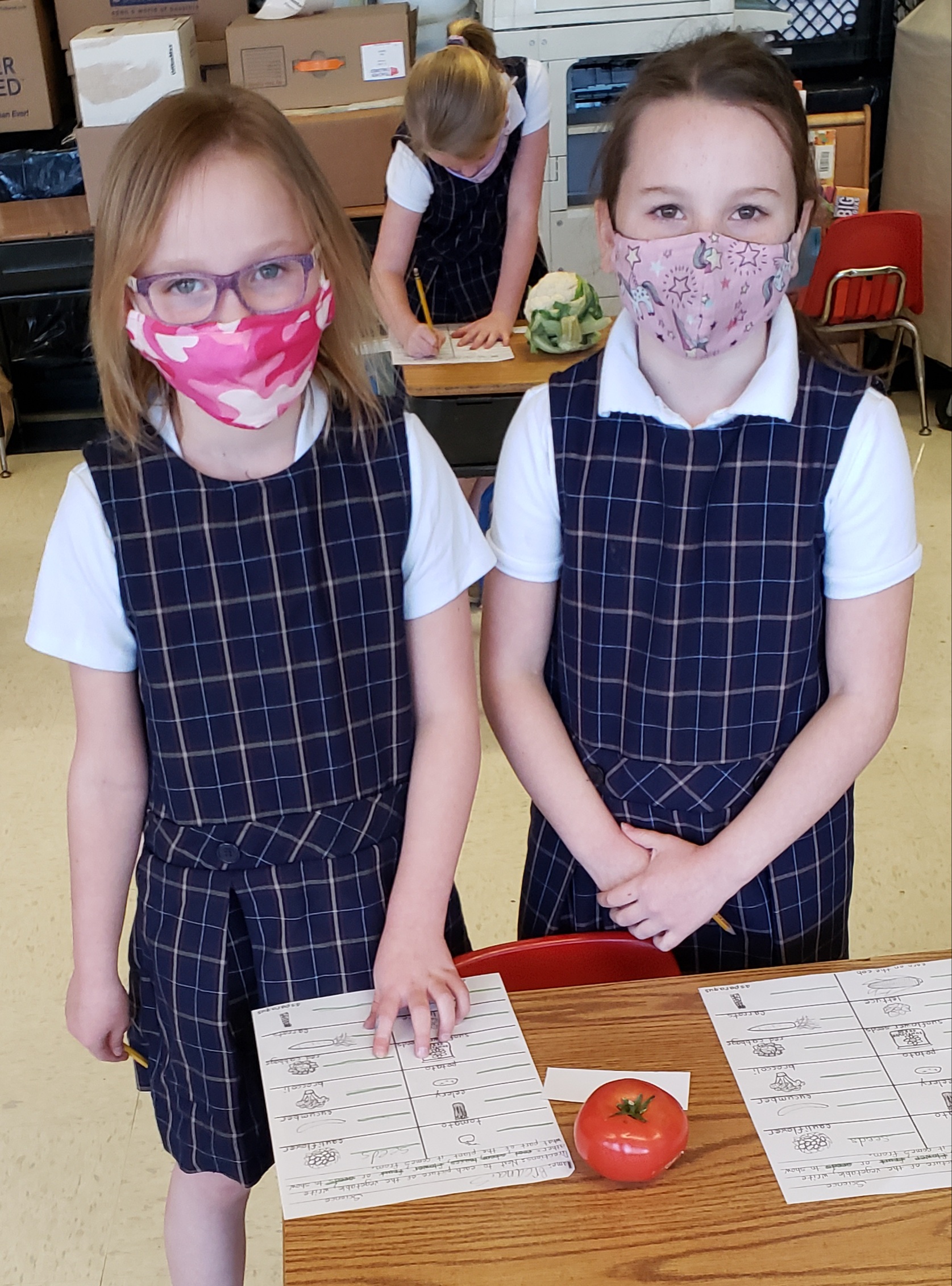 Science Fun in 2nd Grade! – St. Linus School