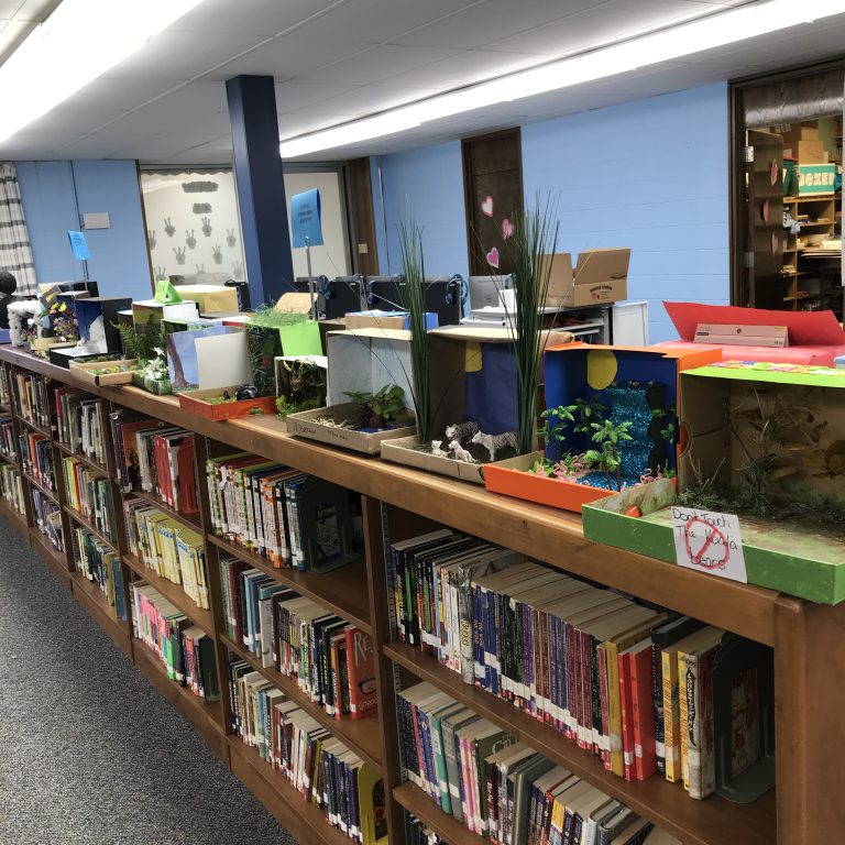 Third Grade Animal Diorama Projects! – St. Linus School